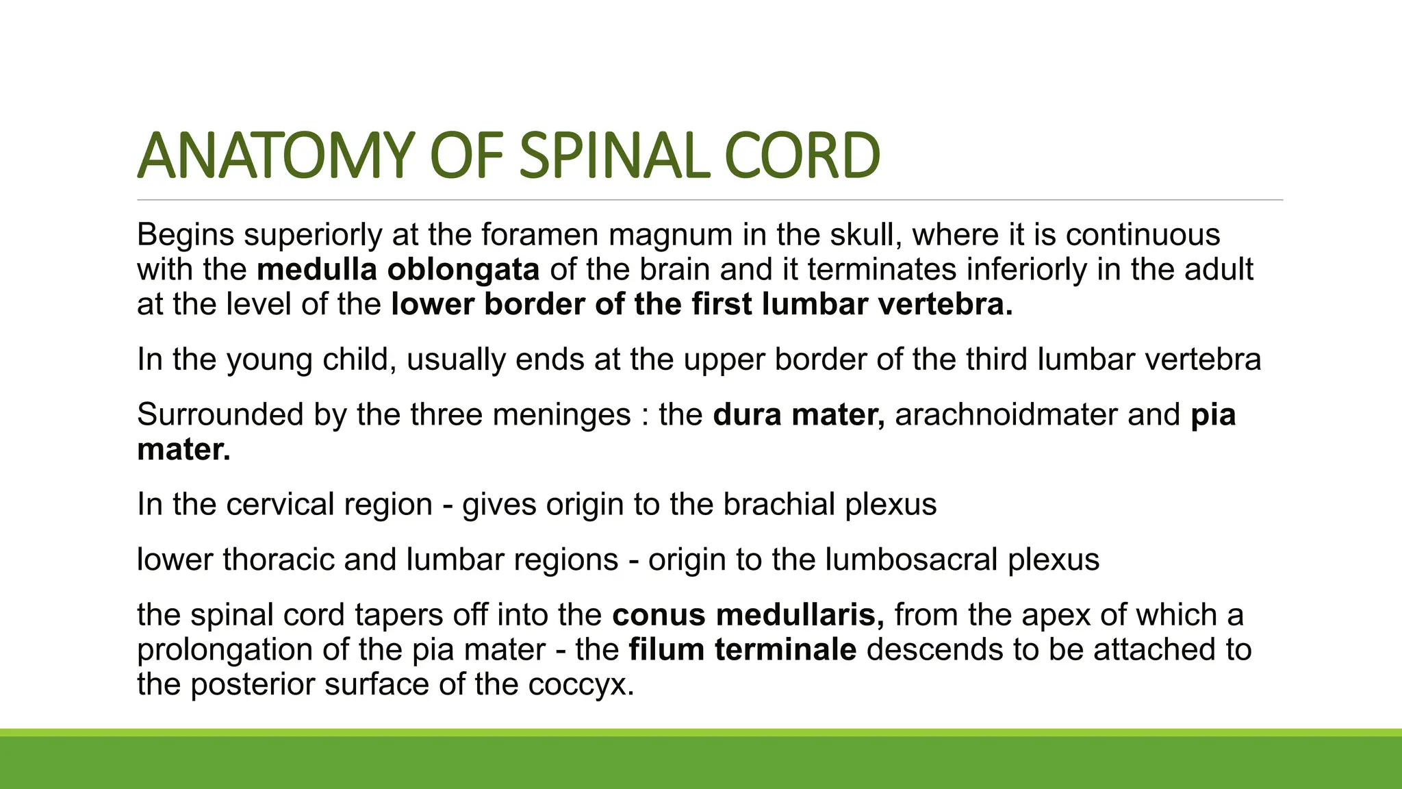 ANATOMY OF VERTEBRAL COLUMN AND SPINAL CORD.pptx