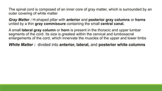 ANATOMY OF VERTEBRAL COLUMN AND SPINAL CORD.pptx