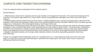 ANATOMY OF VERTEBRAL COLUMN AND SPINAL CORD.pptx