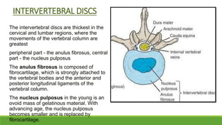ANATOMY OF VERTEBRAL COLUMN AND SPINAL CORD.pptx