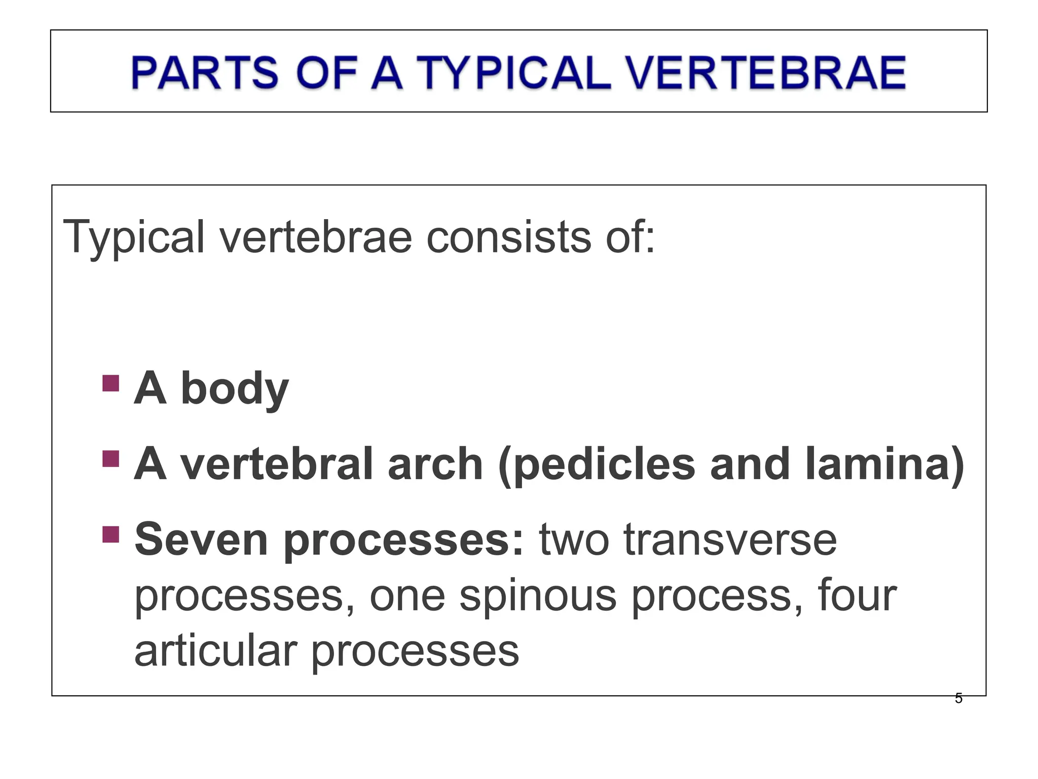 Anatomy of Vertebral Column and Spinal Cord.ppt