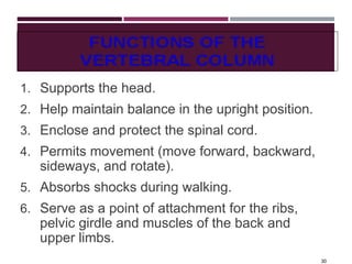 Anatomy of Vertebral Column and Spinal Cord.ppt