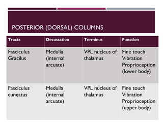 Anatomy of Vertebral Column and Spinal Cord.ppt