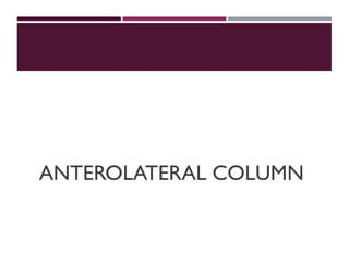 Anatomy of Vertebral Column and Spinal Cord.ppt