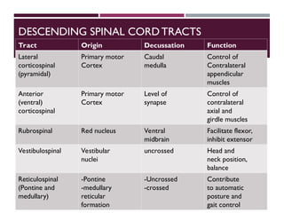 Anatomy of Vertebral Column and Spinal Cord.ppt
