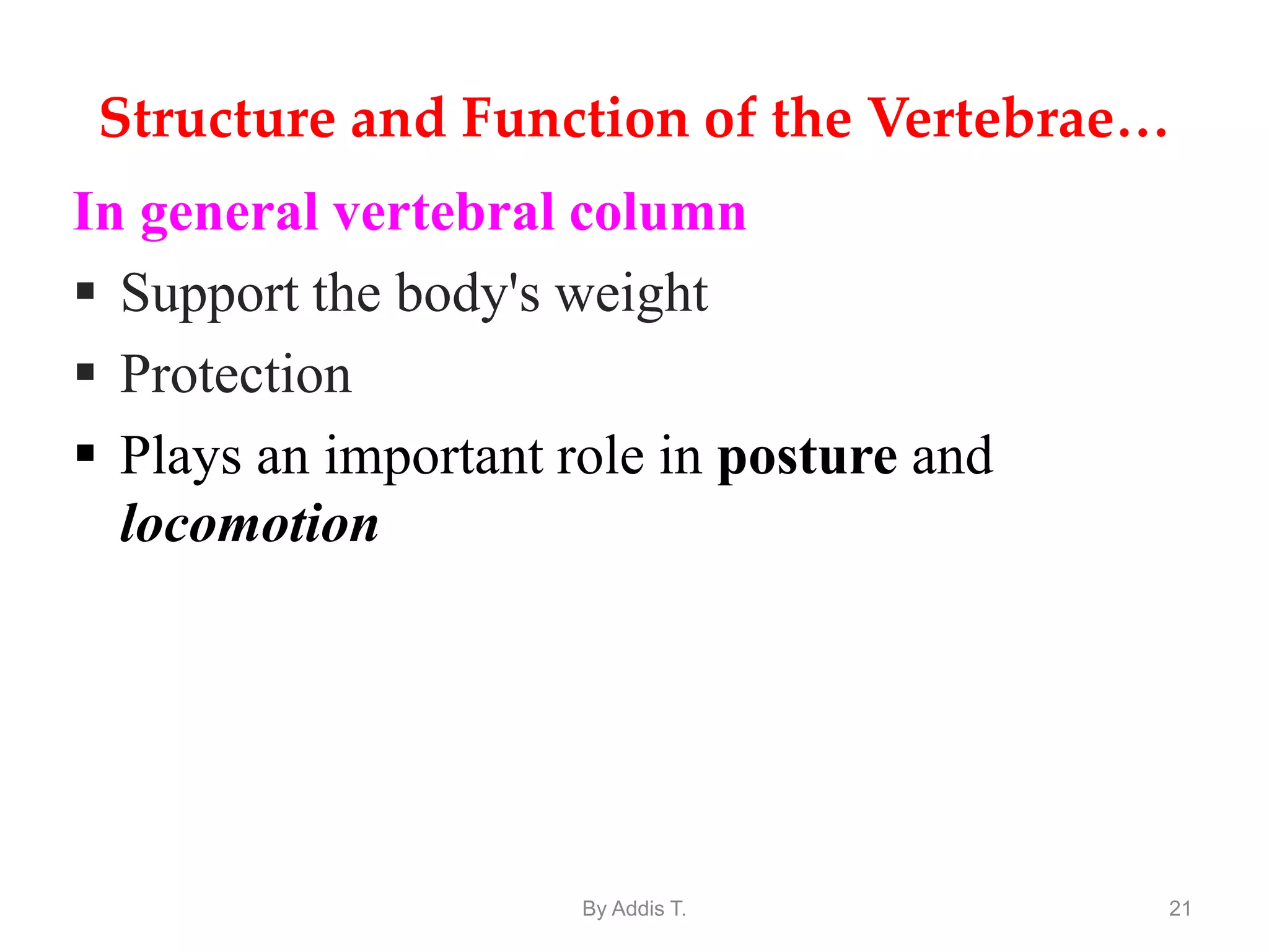 Anatomy of Vertebral column for physioterapy (4).ppt