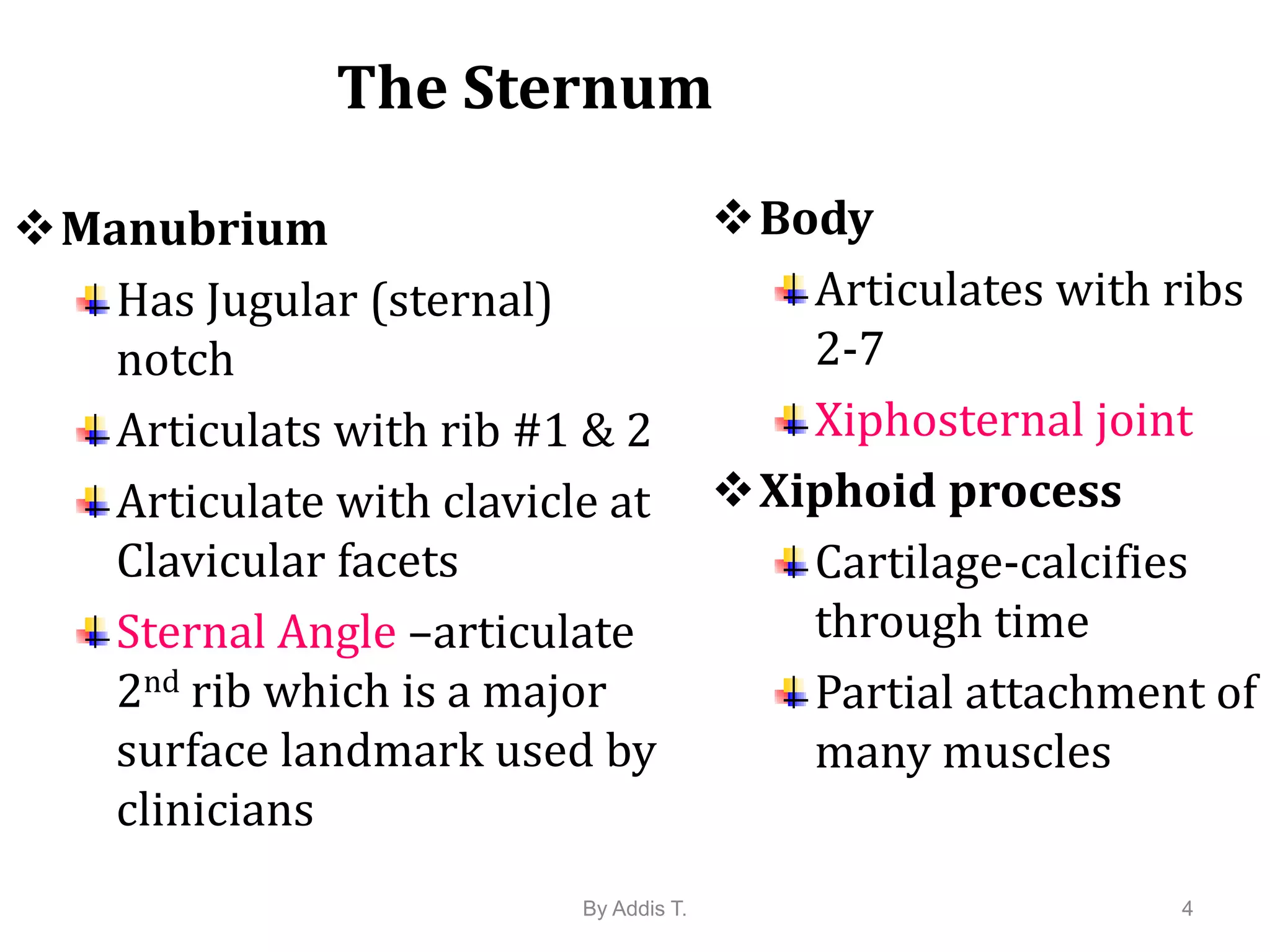 Anatomy of Vertebral column for physioterapy (4).ppt