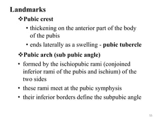 Anatomy of Vertebral column for physioterapy (4).ppt