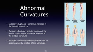 Clinical Anatomy Of vertebral coumn.pptx