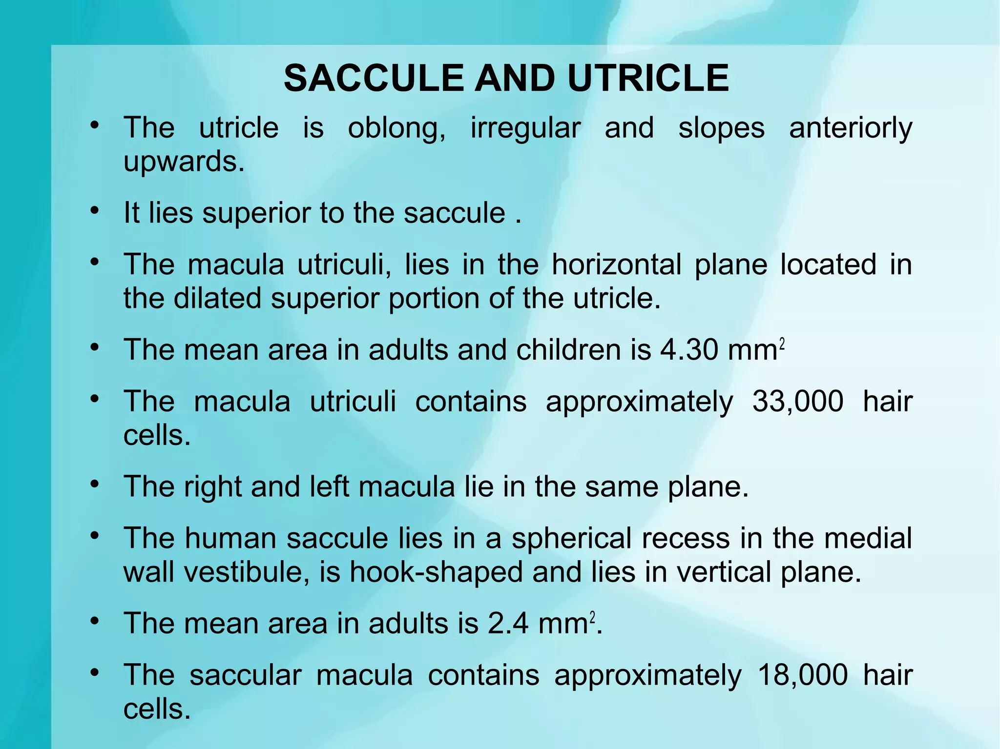 Anatomy of vestibular apparatus | PPT