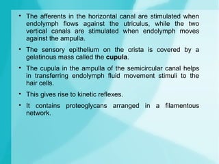 Anatomy of vestibular apparatus | PPT
