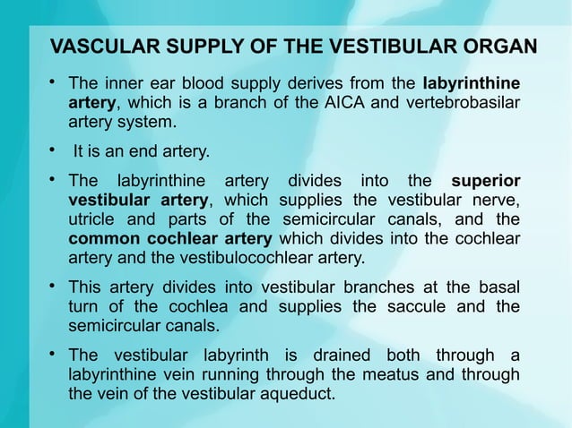 Anatomy of vestibular apparatus | PPT