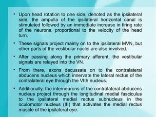 Anatomy of vestibular apparatus | PPT