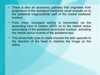 Anatomy of vestibular apparatus | PPT