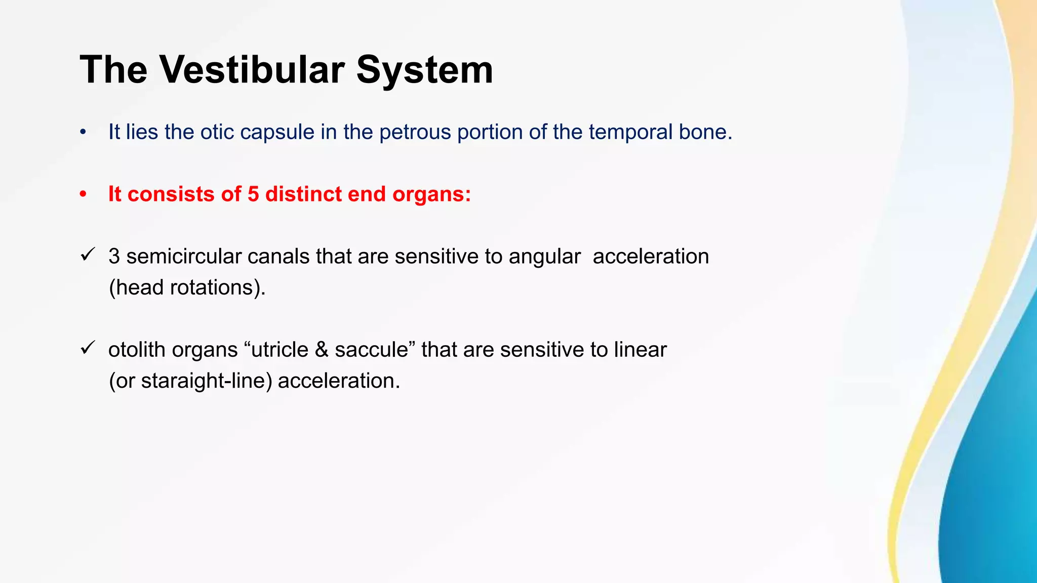 Anatomy of vestibular system.pptx | Free Download