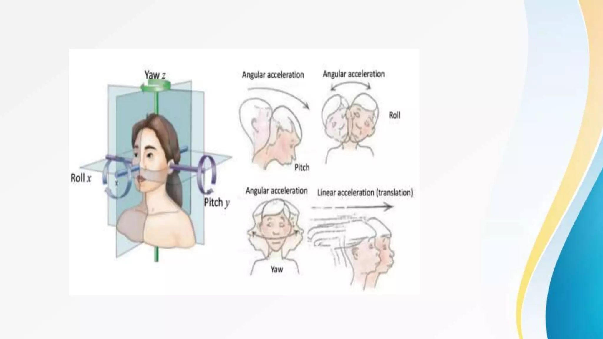Anatomy of vestibular system.pptx
