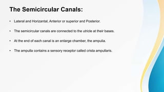 Anatomy of vestibular system.pptx