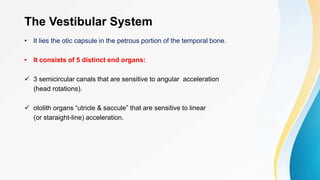 Anatomy of vestibular system.pptx