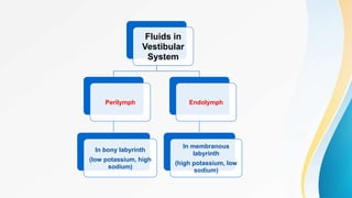 Anatomy of vestibular system.pptx