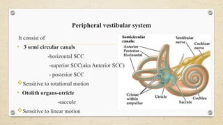 anatomy of vestibular system pg level ms ent .pptx