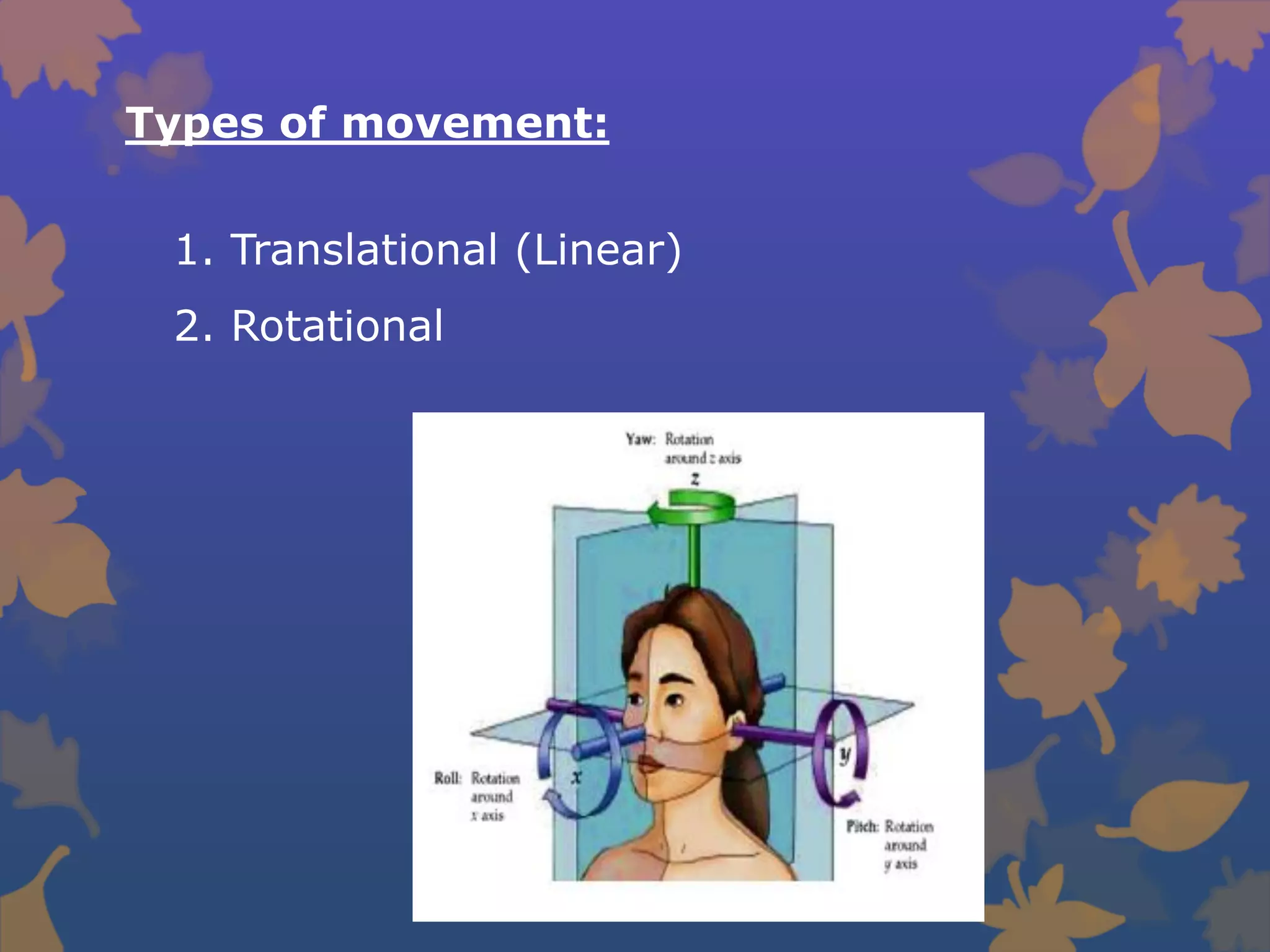 Anatomy of Vestibular System | PDF