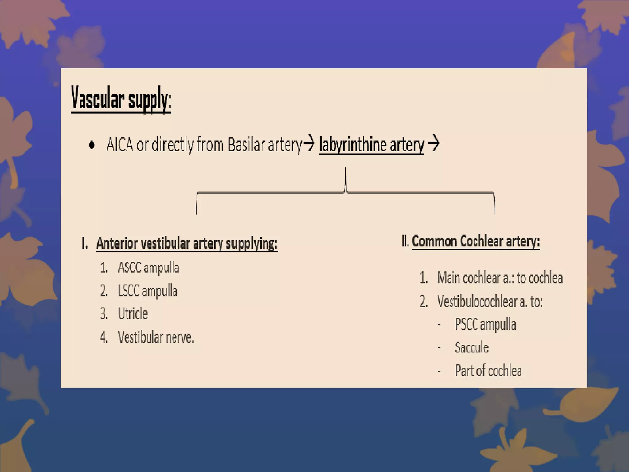 Anatomy of Vestibular System | PDF