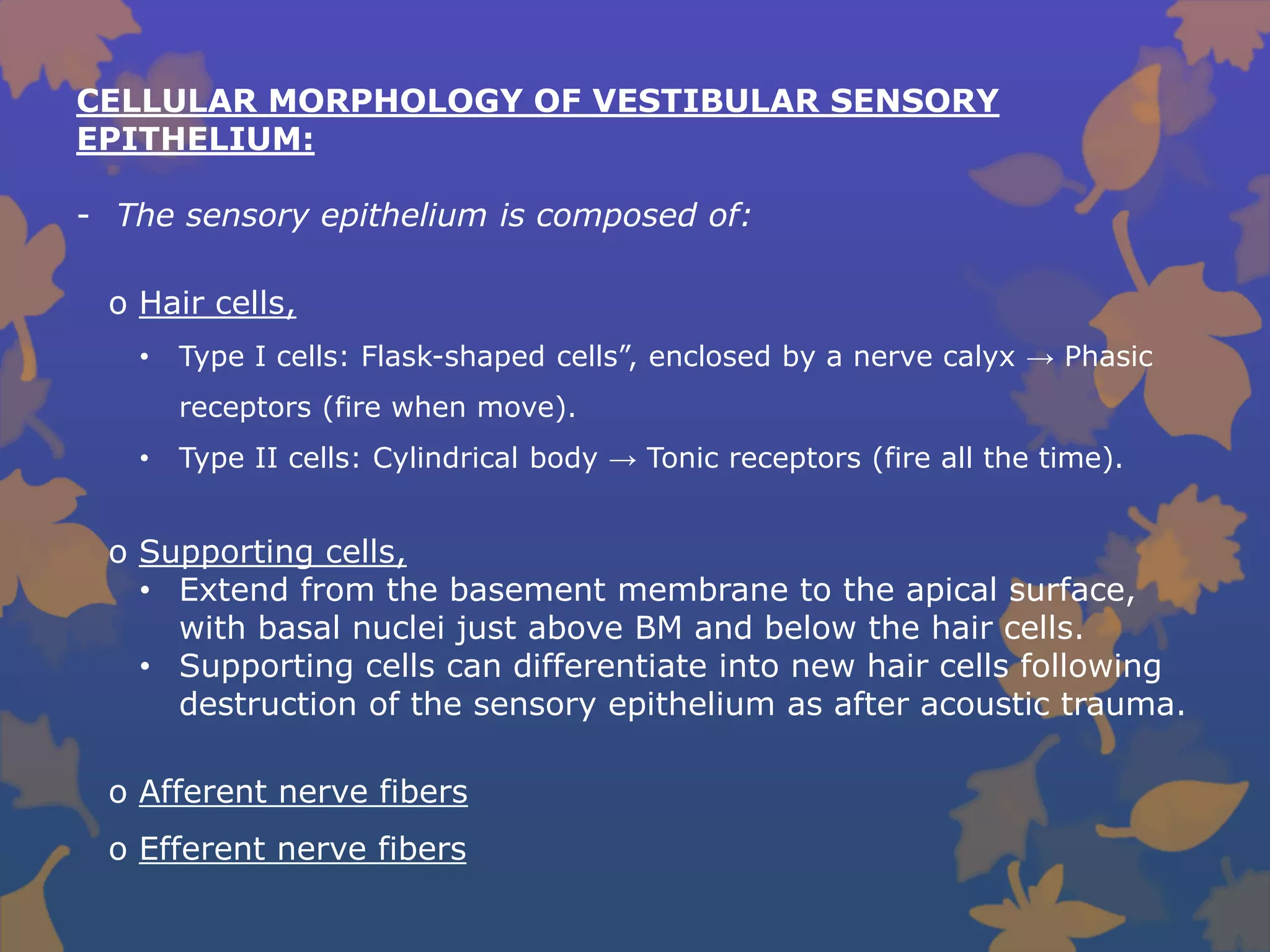 Anatomy Of Vestibular System Ppt