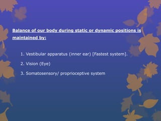Anatomy of Vestibular System | PDF