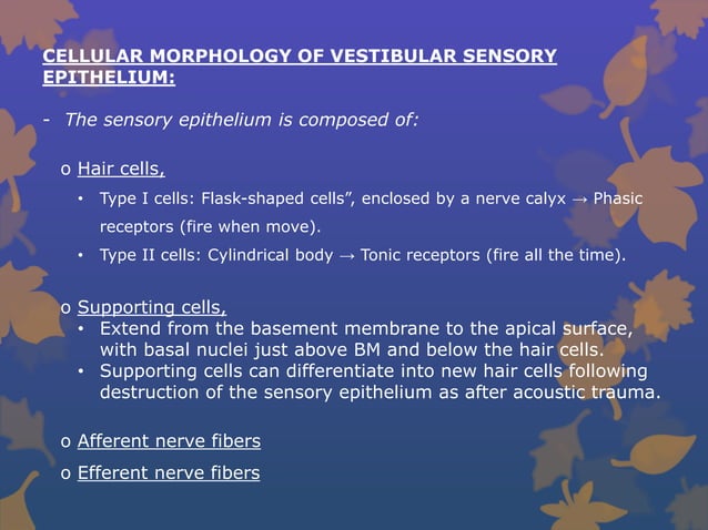 Anatomy of Vestibular System | PDF