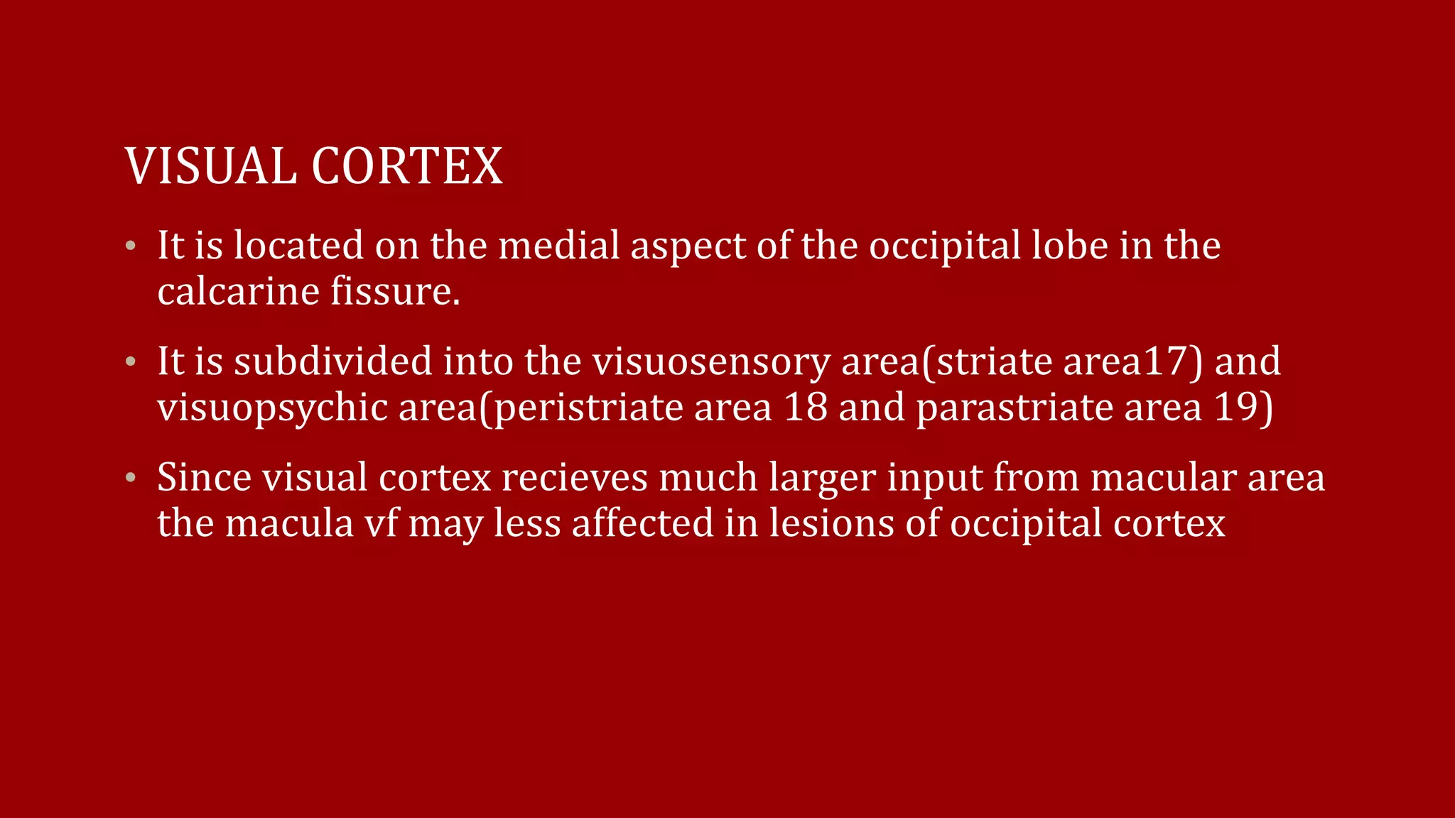 Anatomy OF VISUAL PATHWAY | PPTX