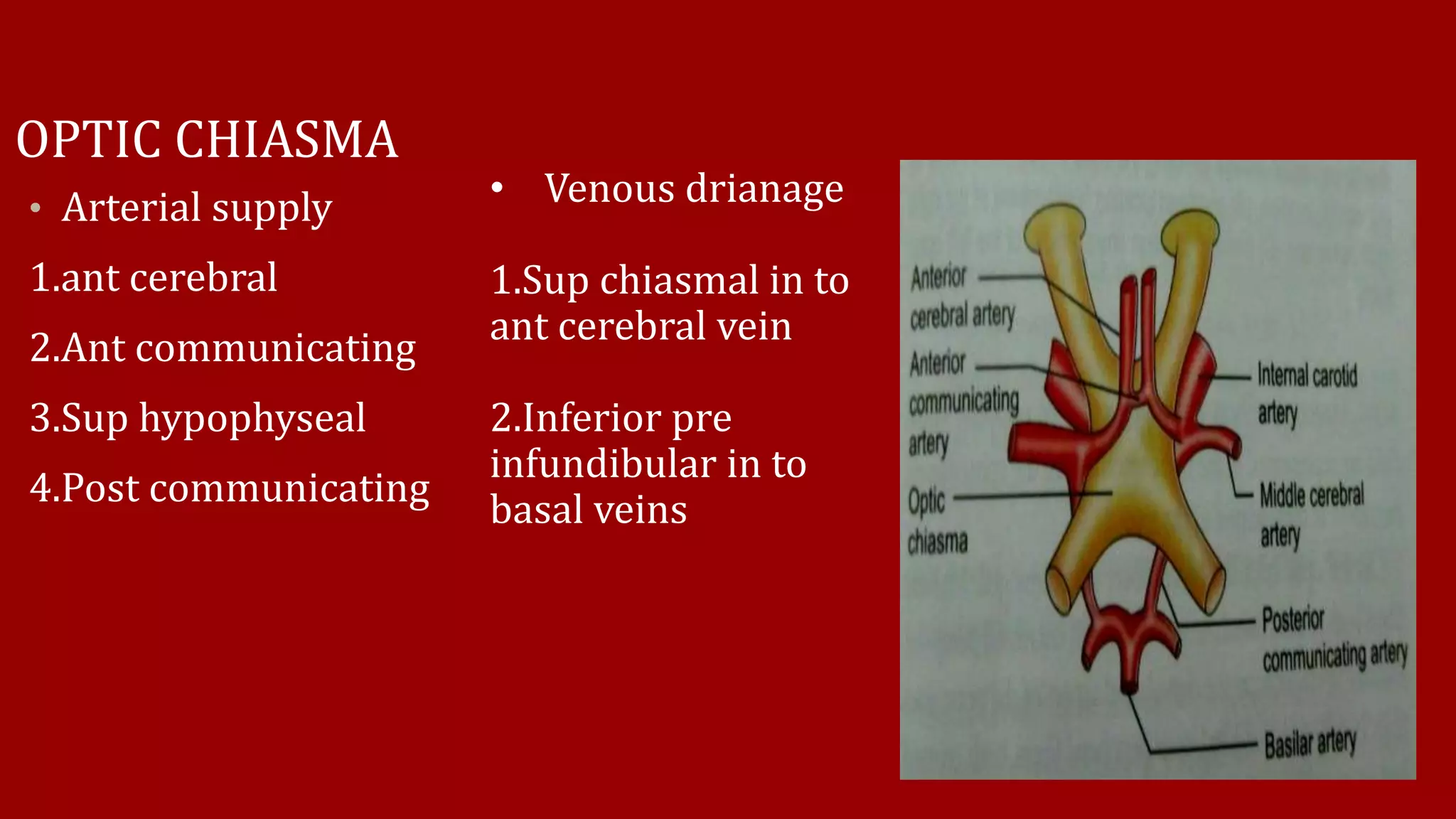 Anatomy OF VISUAL PATHWAY | PPTX