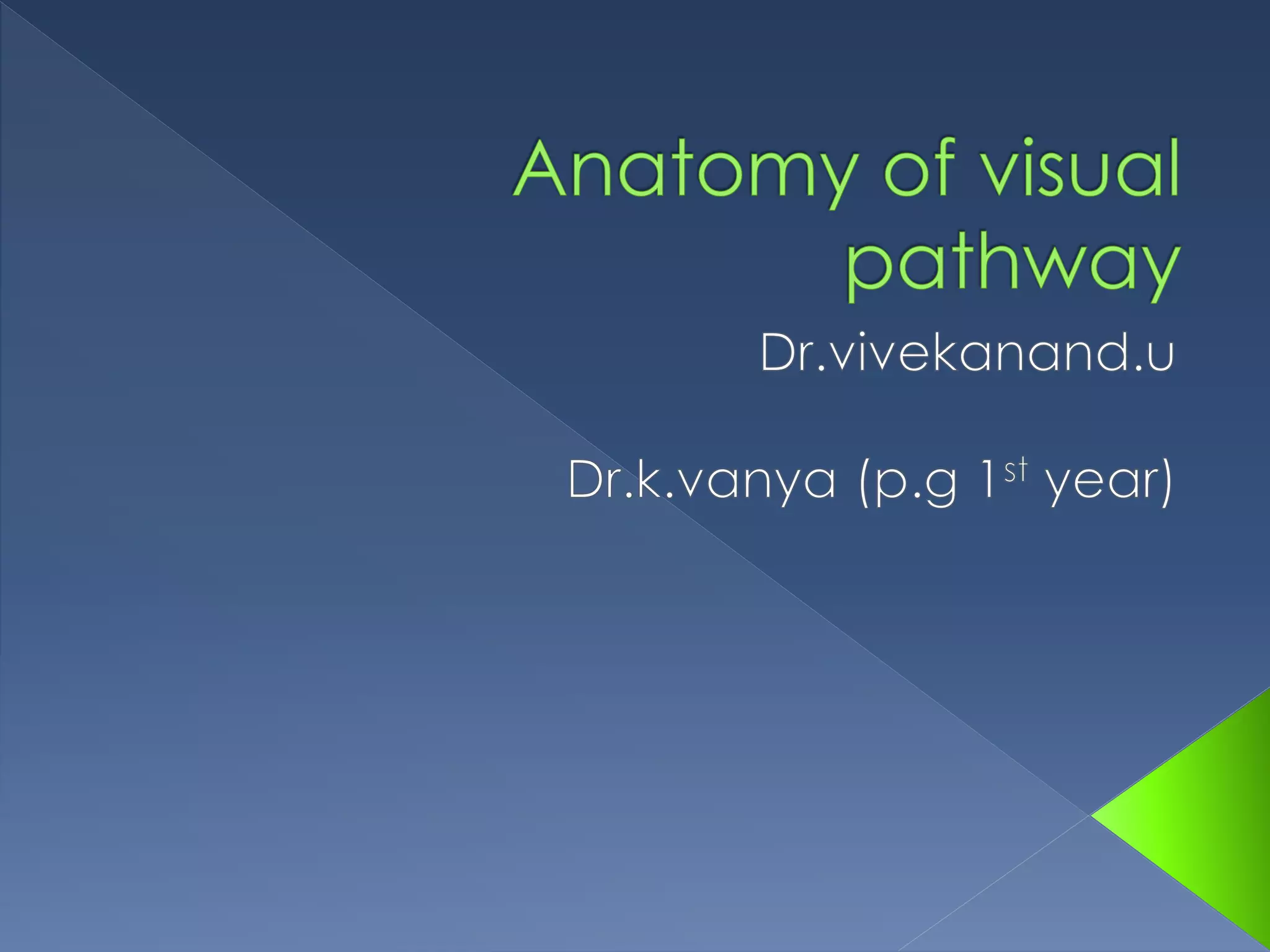 Anatomy of visual pathway | PPTX