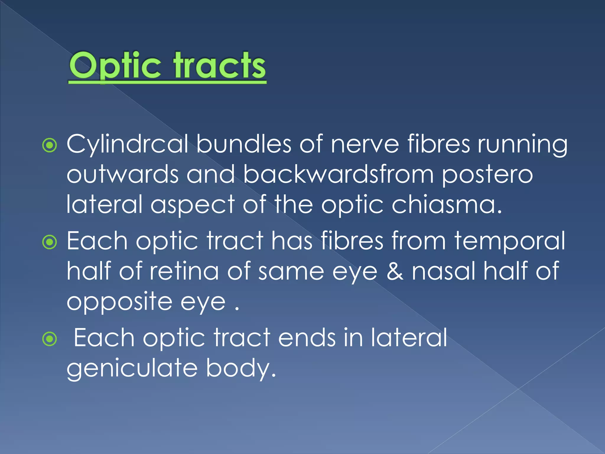 Anatomy of visual pathway | PPTX