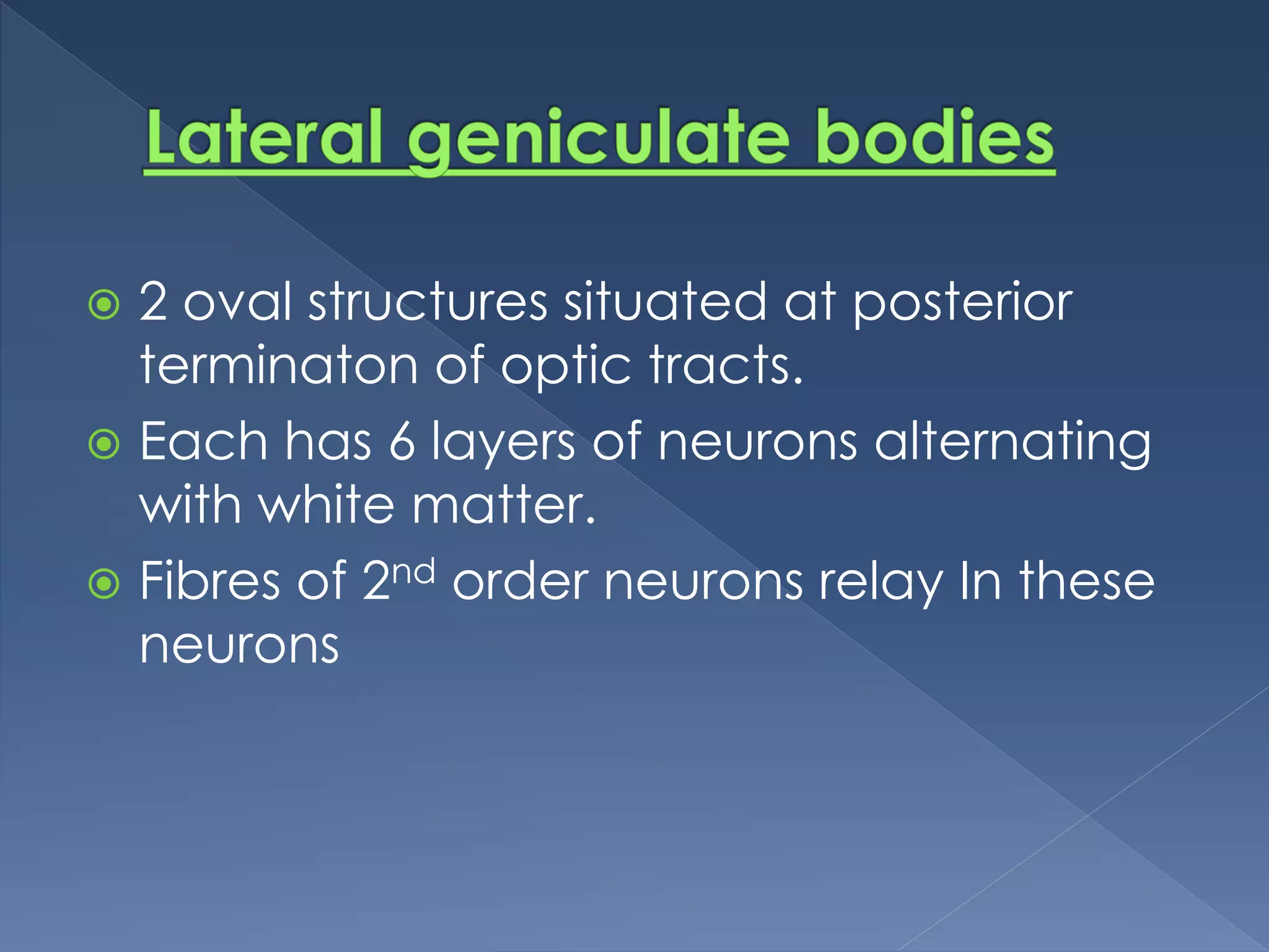 Anatomy of visual pathway | PPTX