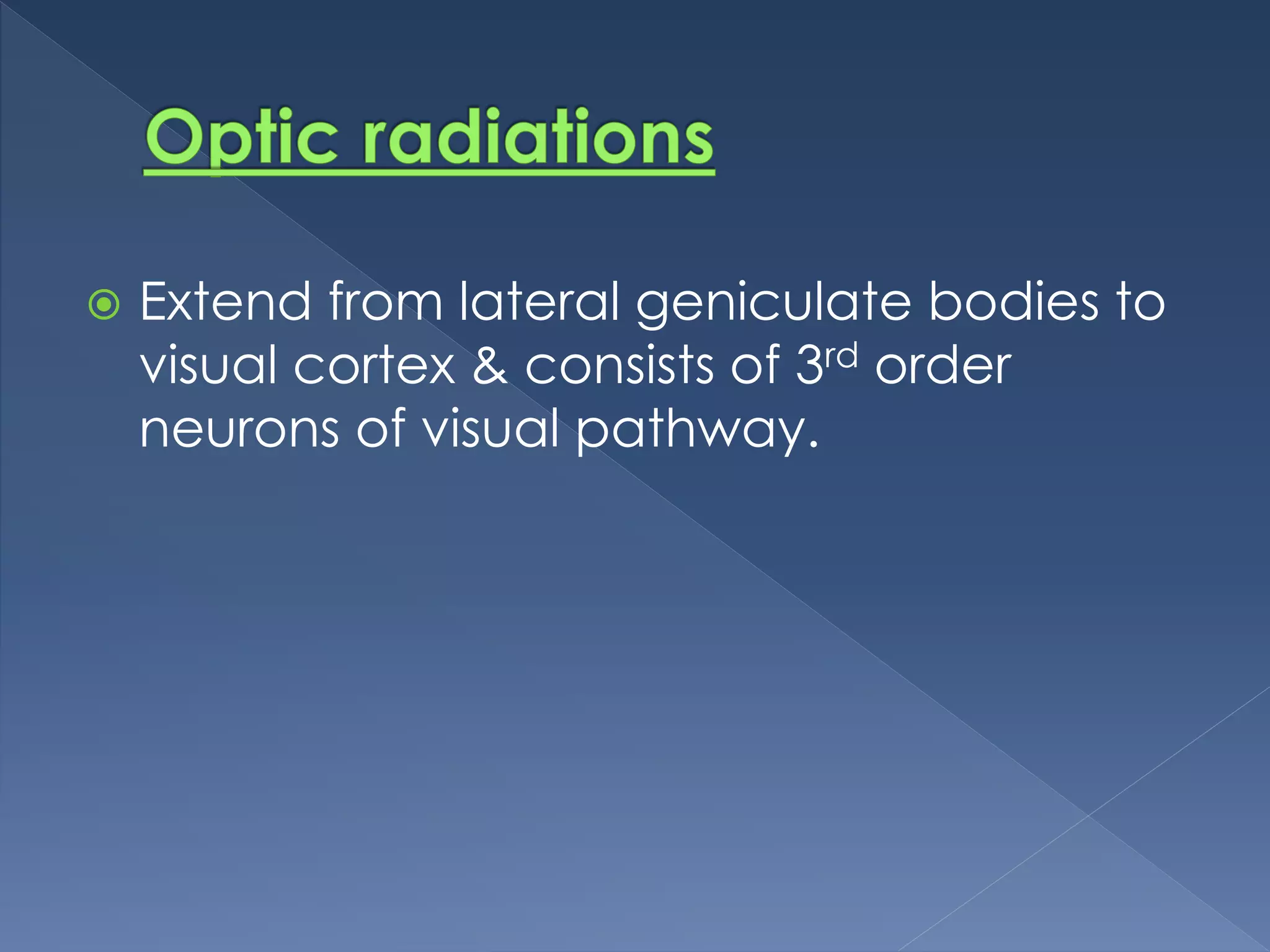Anatomy of visual pathway | PPTX