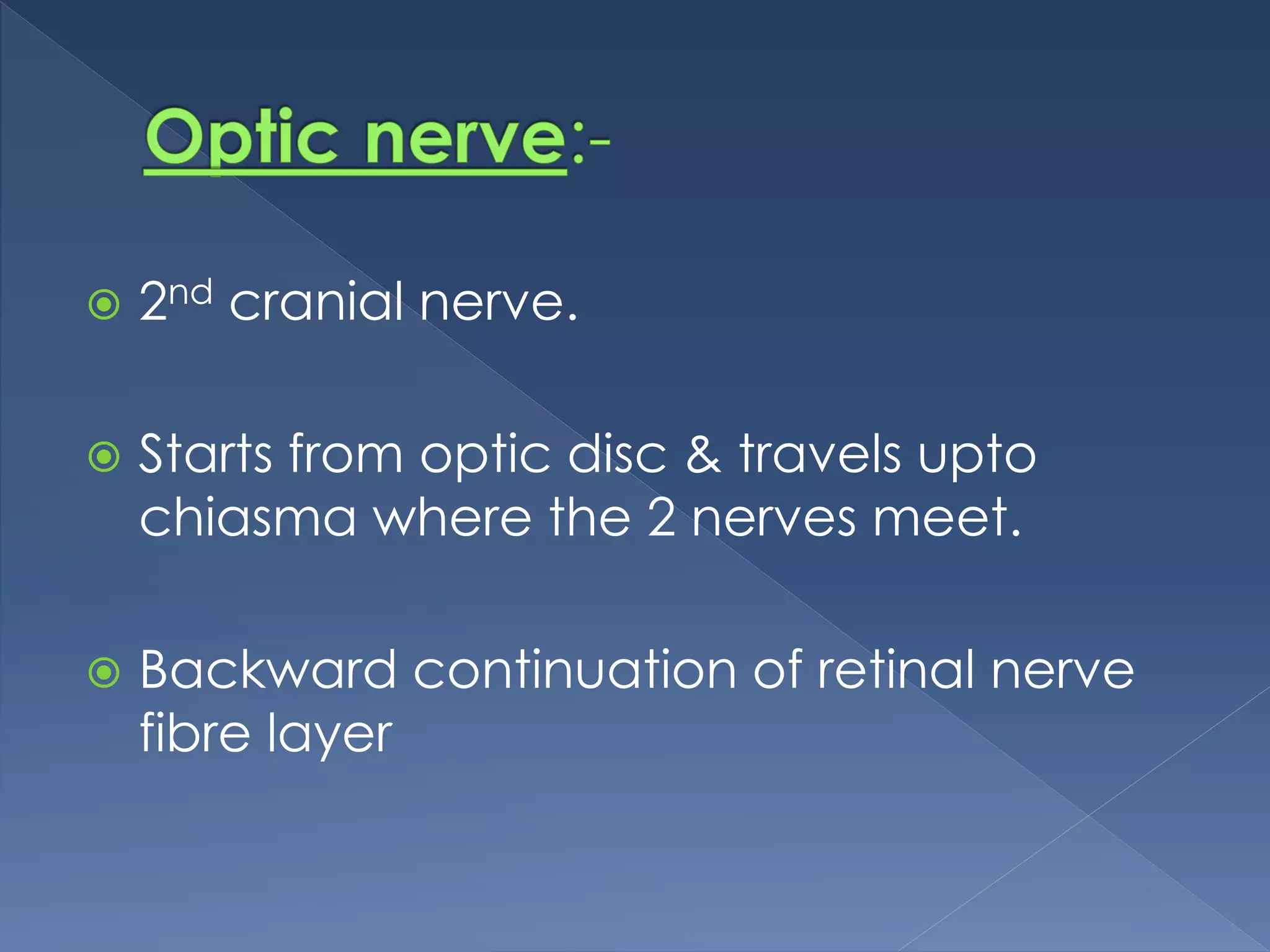 Anatomy of visual pathway | PPTX