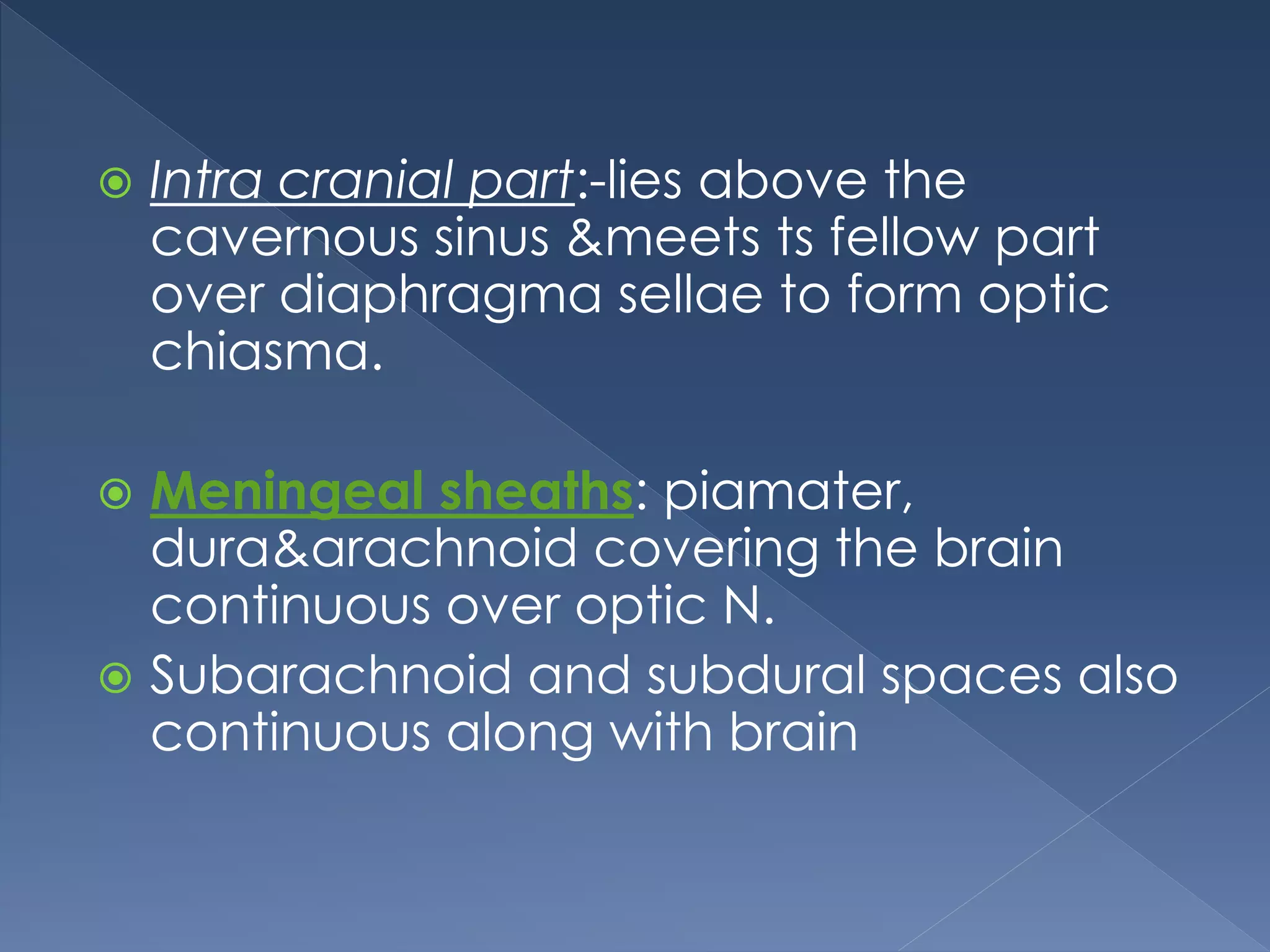 Anatomy of visual pathway | PPTX