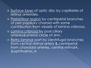 Anatomy of visual pathway | PPTX