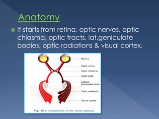 Anatomy of visual pathway | PPTX