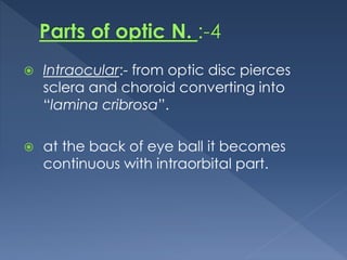 Anatomy of visual pathway | PPTX