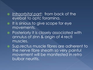 Anatomy of visual pathway | PPTX