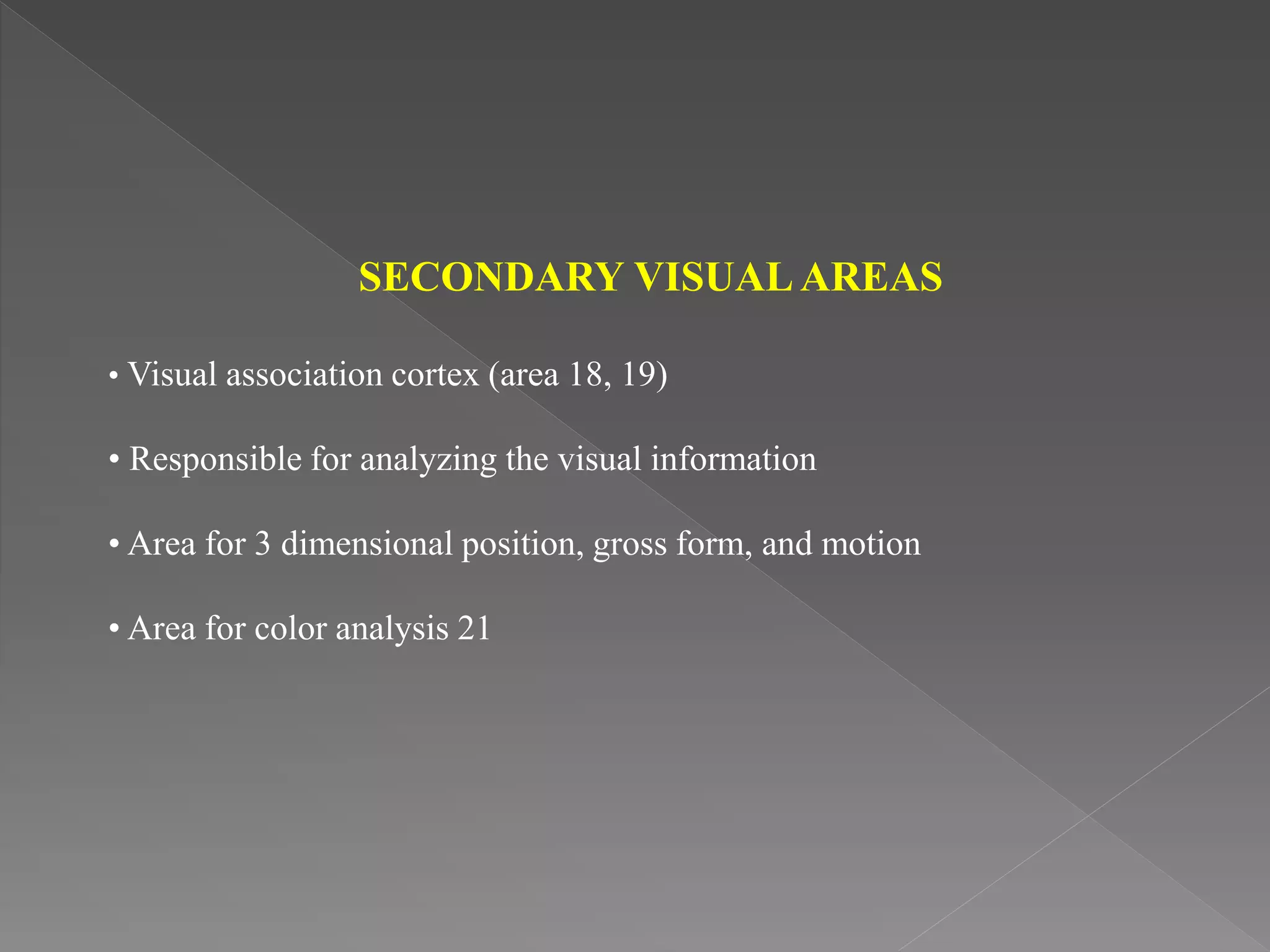Anatomy of visual pathway and its lesion.pptx