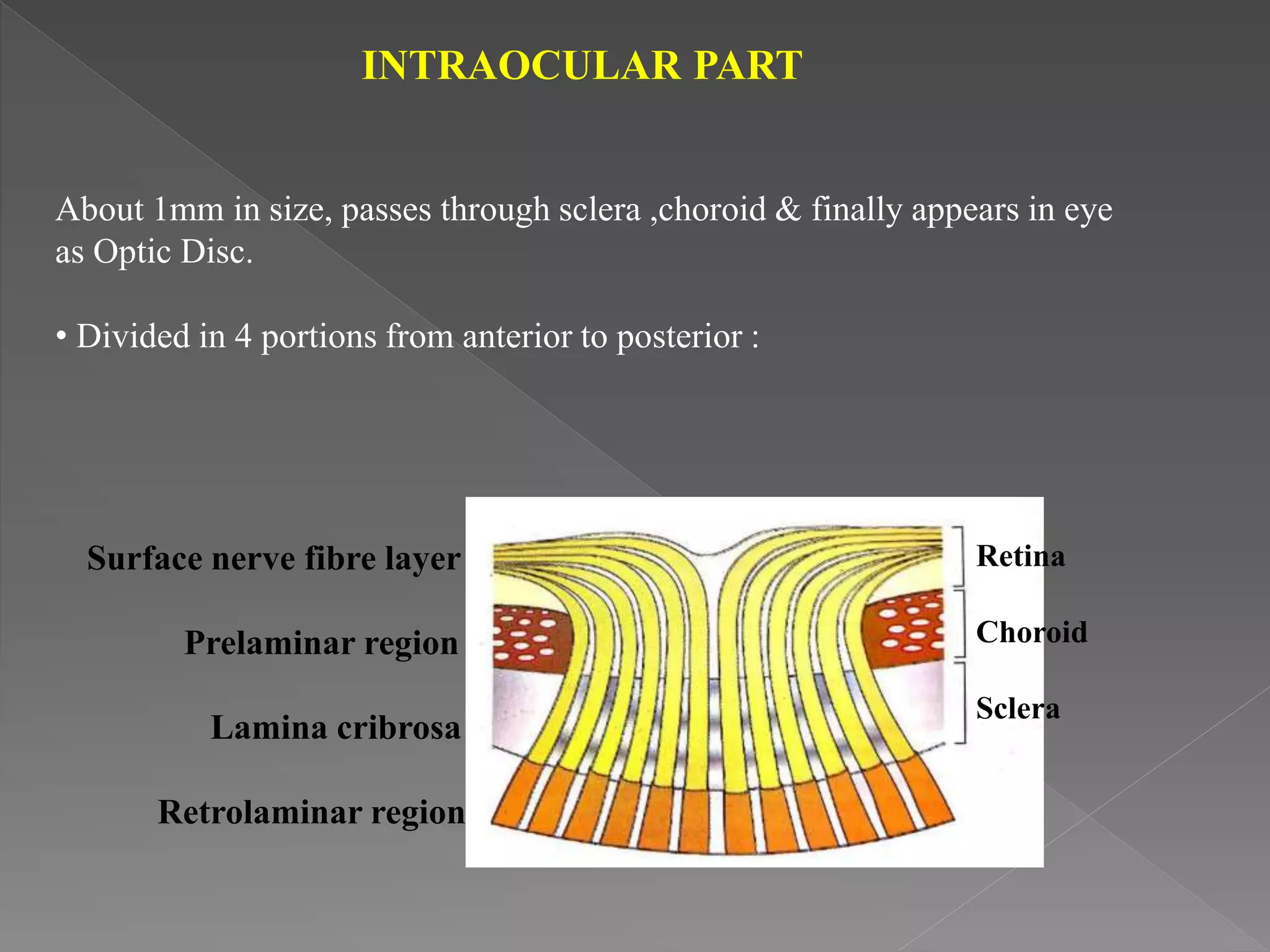 Anatomy of visual pathway and its lesion.pptx