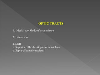 Anatomy of visual pathway and its lesion.pptx