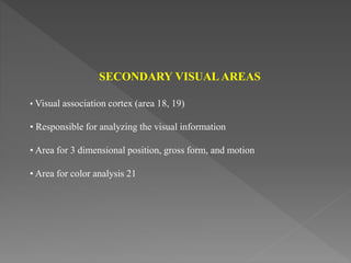 Anatomy of visual pathway and its lesion.pptx