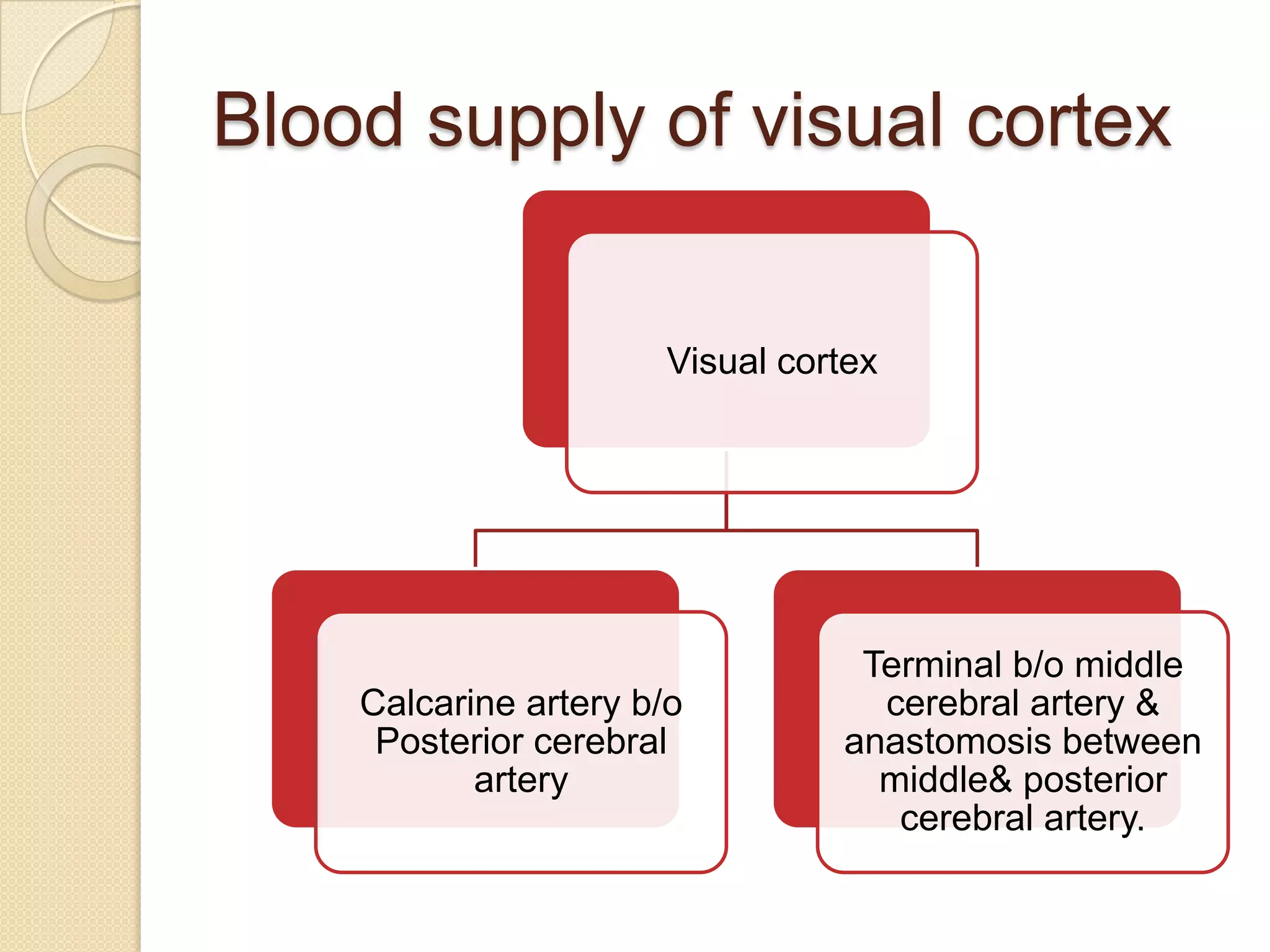 Anatomy of visual pathway and its lesions. | PPTX