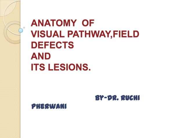 Anatomy of visual pathway and its lesions. | PPTX