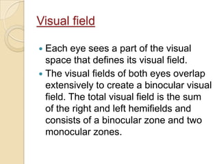 Anatomy of visual pathway and its lesions. | PPTX