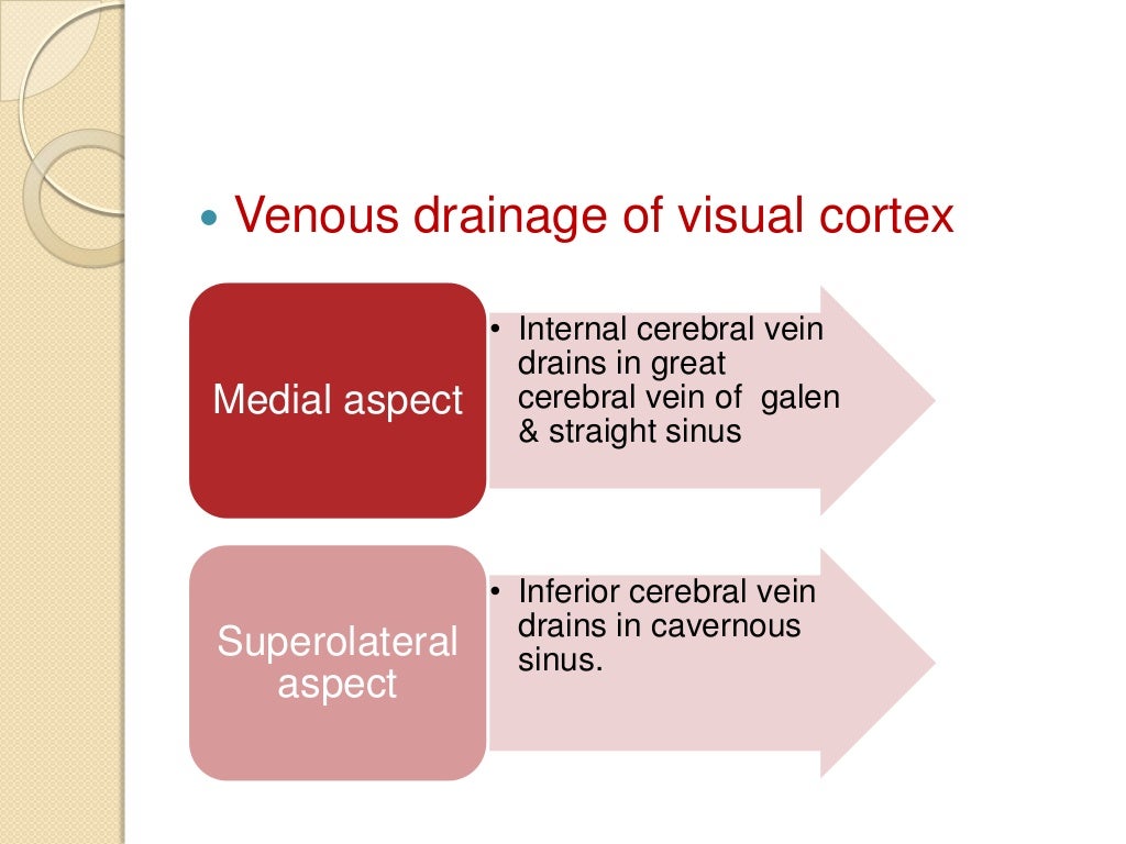 Anatomy of visual pathway and its lesions.