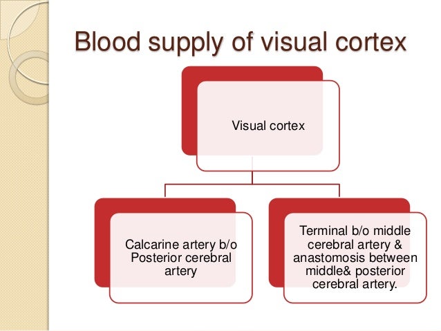 Anatomy of visual pathway, field defects and its lesions.